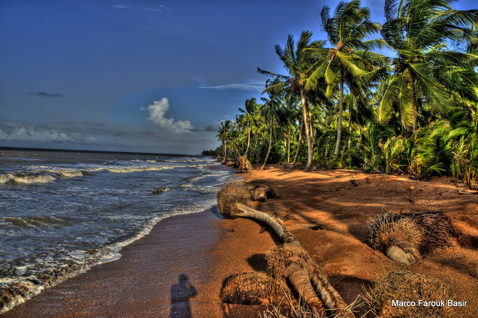 Shell Beach: Where the Ocean Meets the Wild Heart of Guyana - Travel ...